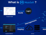 Getting Started With Mulesoft